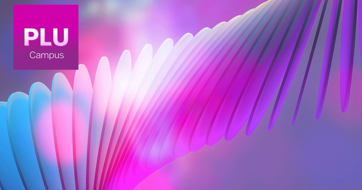 New Work Coaching für Chef & Assistenz | PLU - Tuning für den Chef