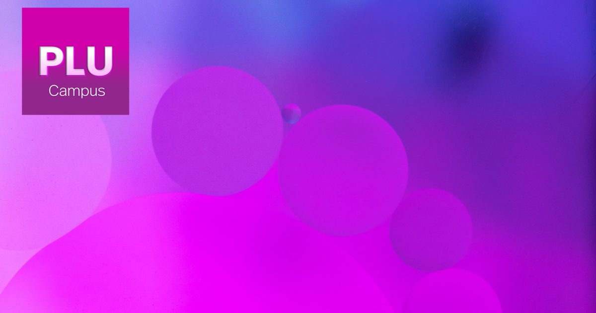 PLU Consulting | Office Coaching | PLU - Tuning für den Chef